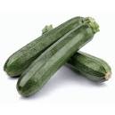 Baby Marrows – Greentecshop.com